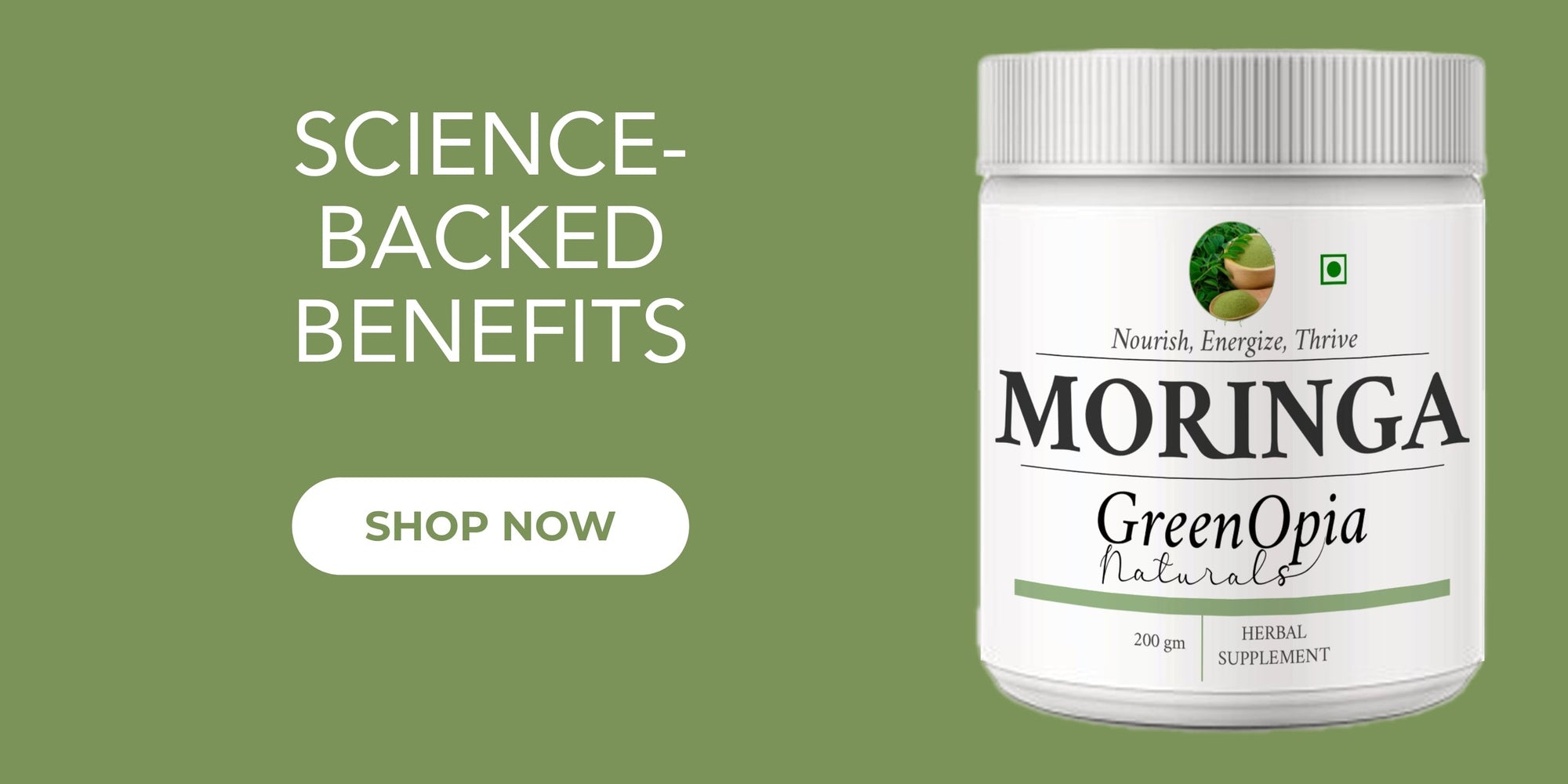 What Is Moringa Powder? Uses, Benefits & Daily Routine Tips – GreenOpia ...
